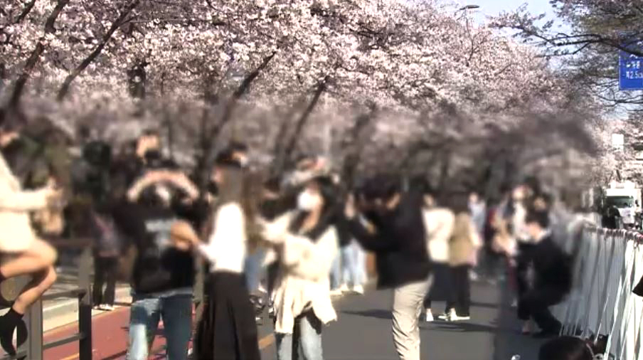 [오후초대석] 지역 축제도 'MZ 스타일'이 통한다…성공하는 축제의 비법 - SBS Biz